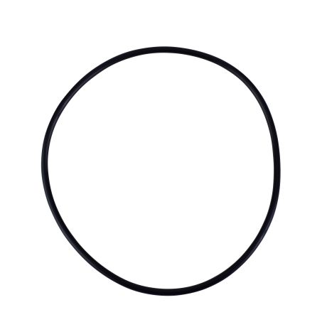 Watts-S7966-1 O-Ring, Round, Fits 10" And 20" Full Flow Filter Housing ...
